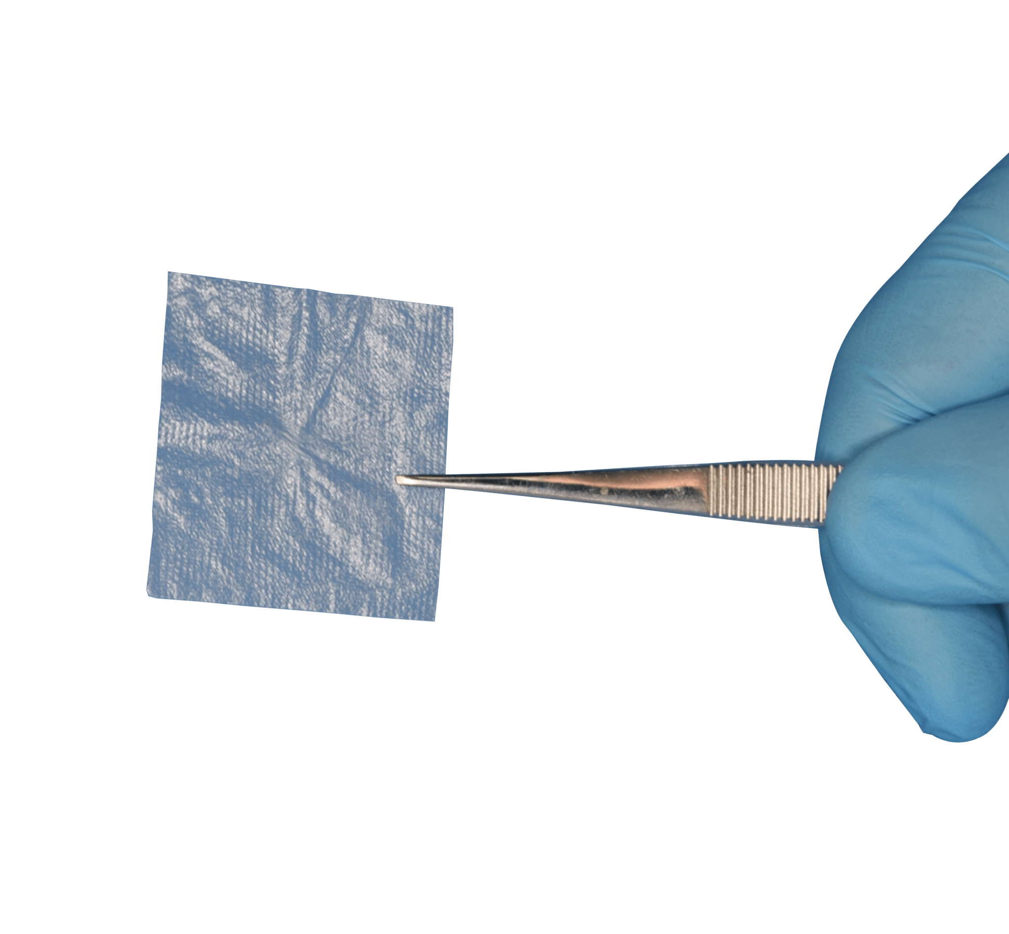 Axolotl – Total Ancillary