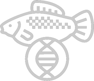 Kerecis Shield - Total Ancillary